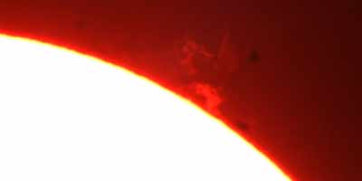 Online observation | eLearnEver